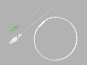 Hail the mighty micropuncture – Critical Concepts